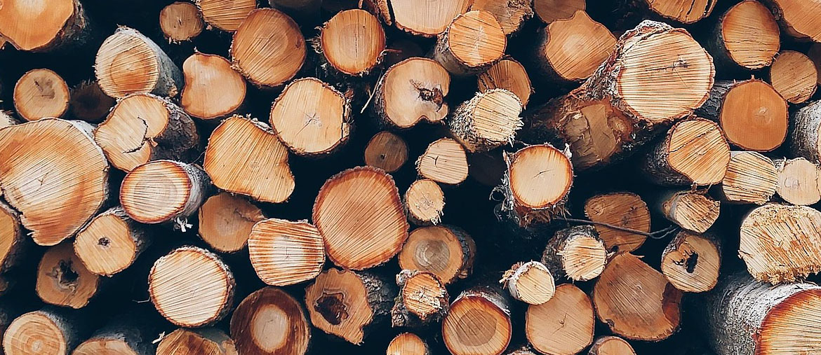 Growing Timber Shortages in the UK - Blog | BS Fixings