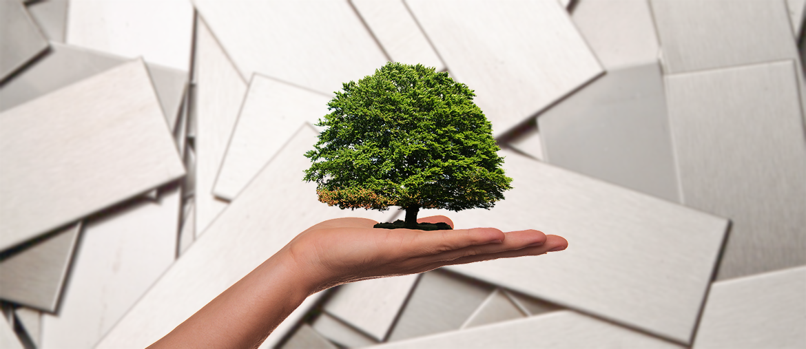 10 Reasons Why Stainless is Environmentally Friendly | BS Fixings