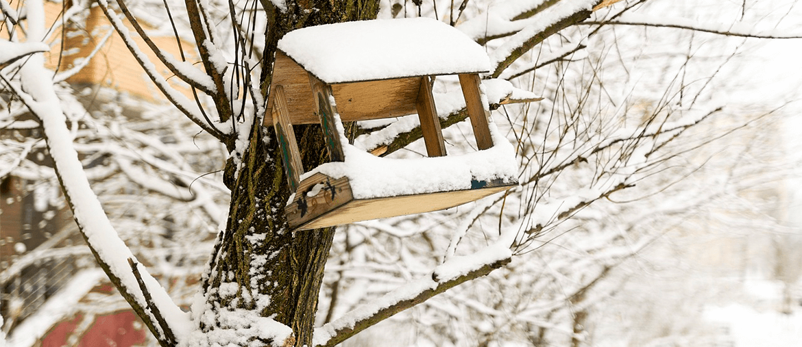 Looking After Your Garden Over Winter - Blog | BS Fixings